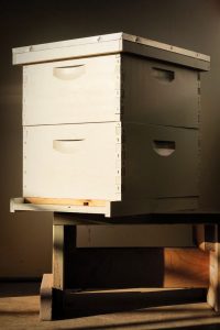 25 Free DIY Beehive Plans to Build Your Own Bee Box