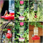 30 Homemade DIY Hummingbird Feeder Ideas - Suite 101
